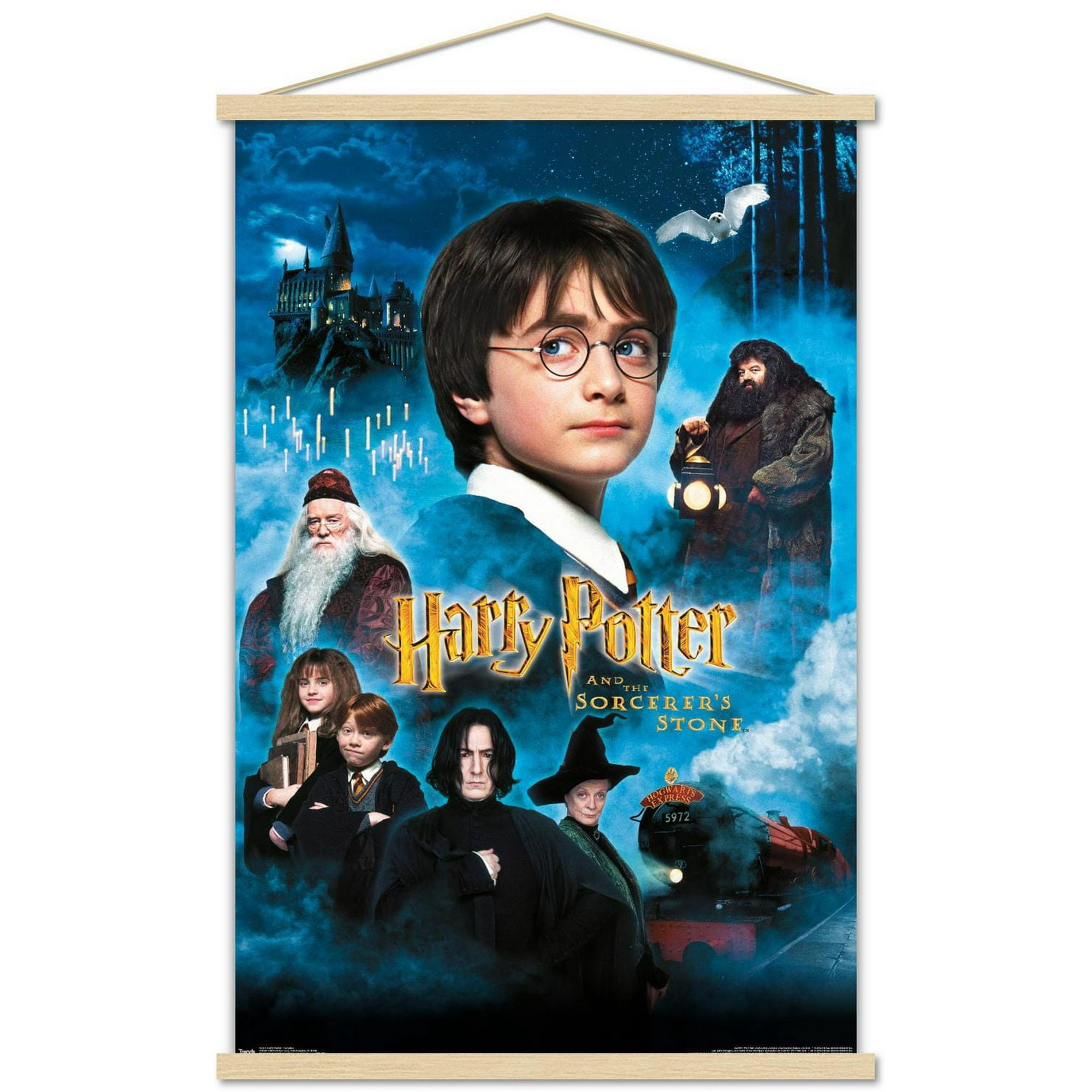 Click here for Trends International Harry Potter And The Sorcerer... prices