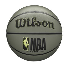 Wilson Basketballs | Walmart.ca