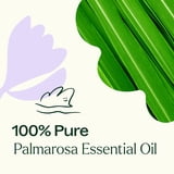 Plant Therapy Palmarosa Essential Oil | 100% Pure, Undiluted, Natural ...