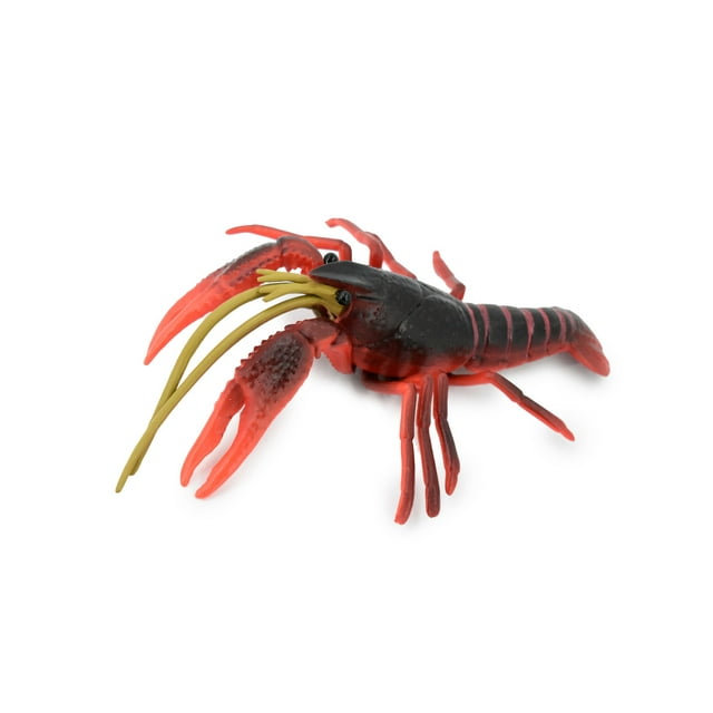 Crawfish, Crayfish, Museum Quality, Hand Painted, Rubber Crustaceans ...