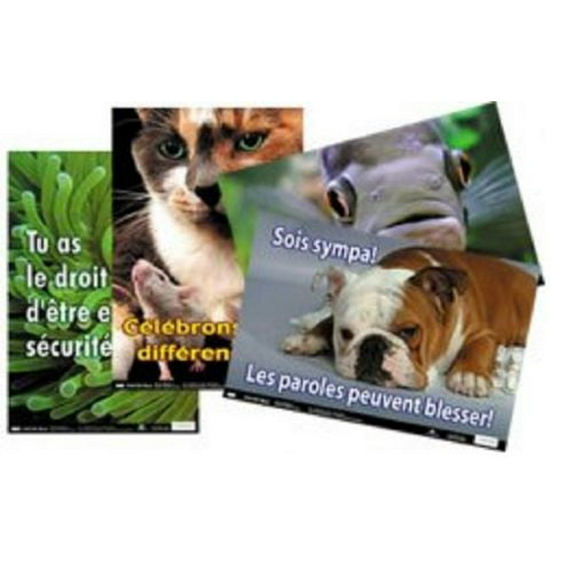 Click here for Poster Pals French Educational Fun Posters 18 X 12 prices