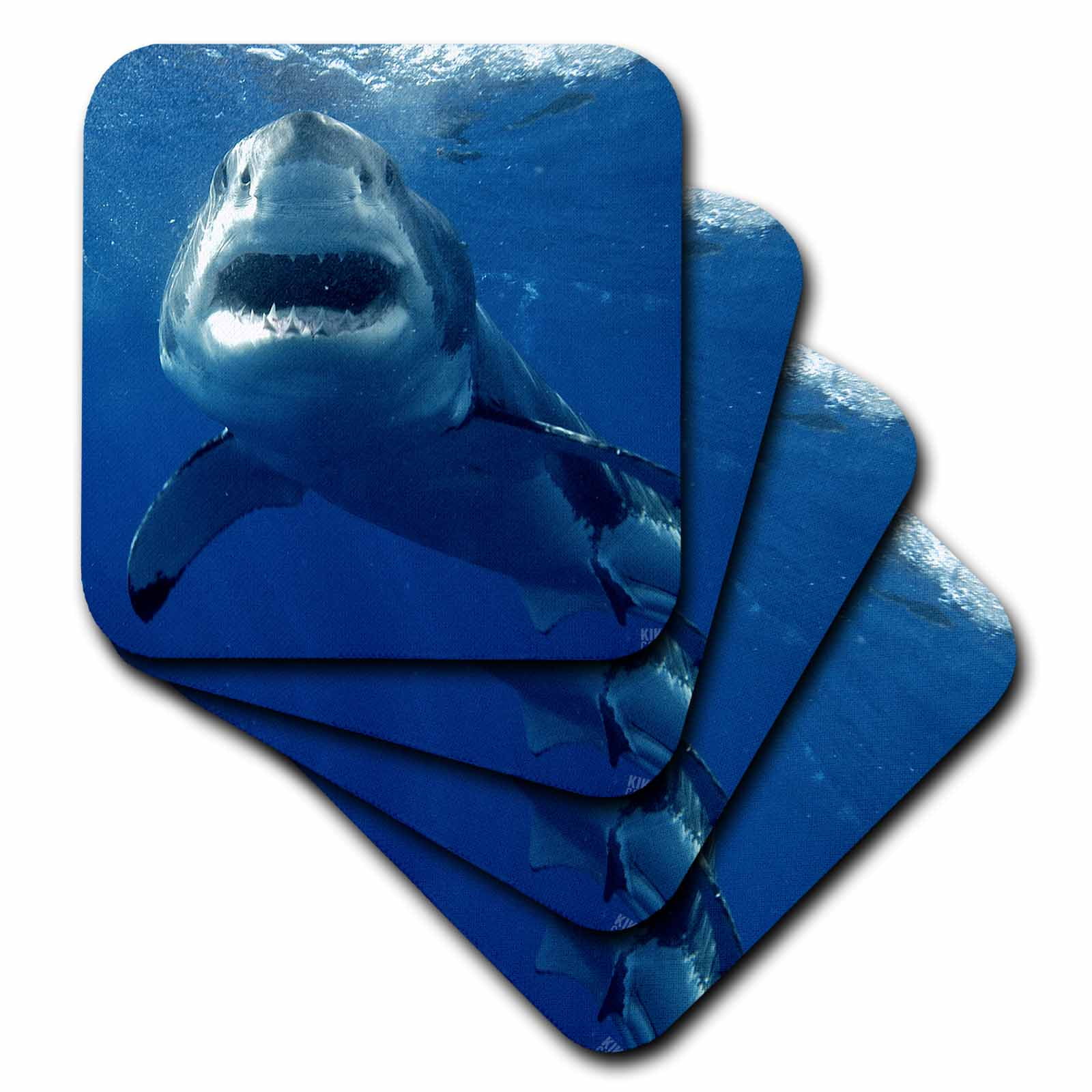 Great White Shark set of 8 Coasters - Soft cst-10584-2 - Walmart.com