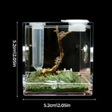 Spider Terrarium, Clear Acrylic Reptile Cage Habitat Insect Feeding Box ...