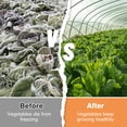 Alphatool Plant Covers Freeze Protection - 10 x 30ft 1.65Oz/yd² Plastic ...