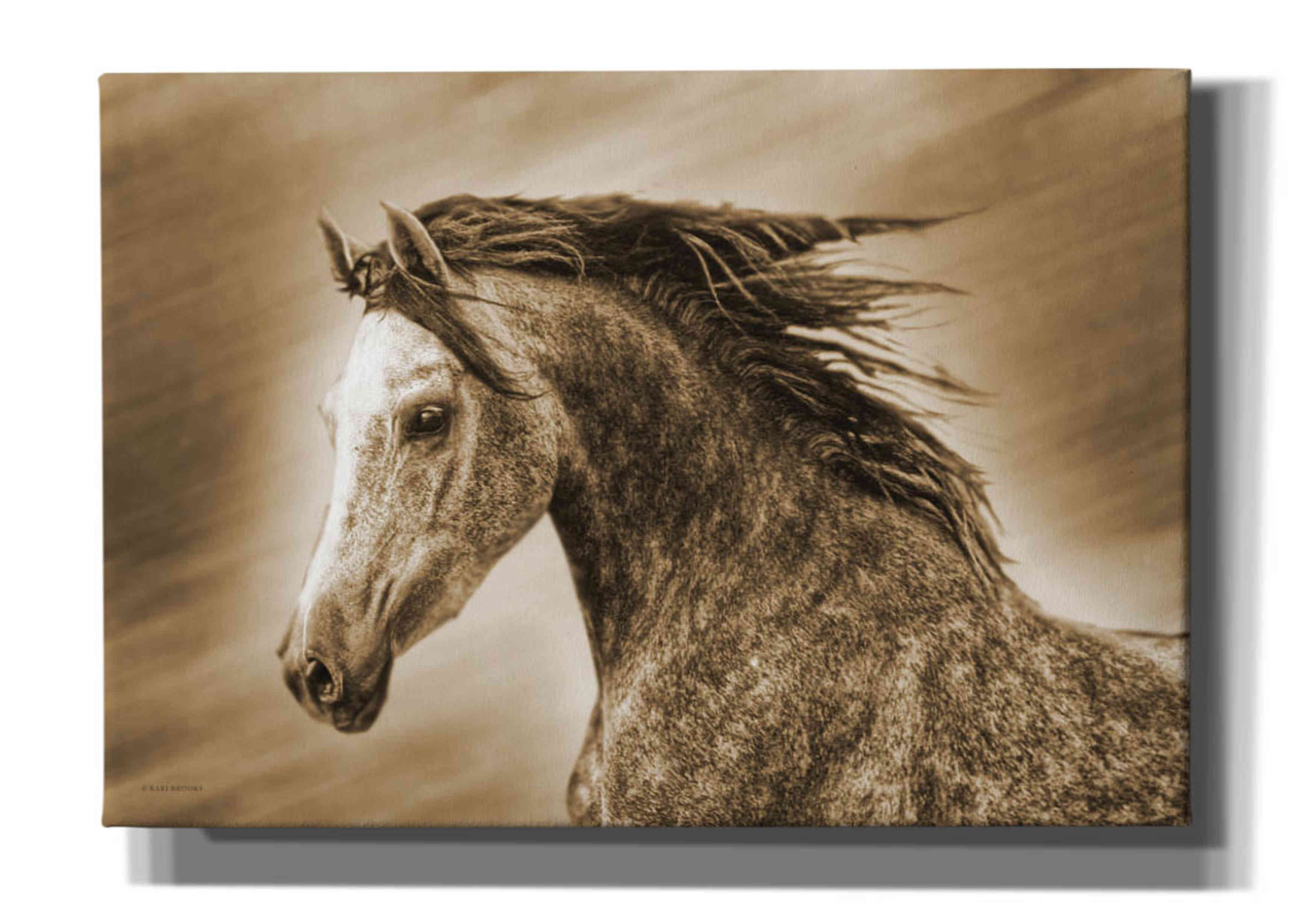 Epic Graffiti 'Addie Gray' by Kari Brooks, Canvas Wall Art, 26"x18 ...