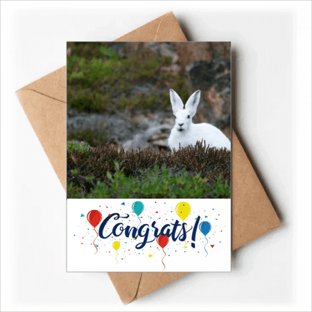 White Rabbits Science Nature Scenery Wedding Cards Congratulations ...