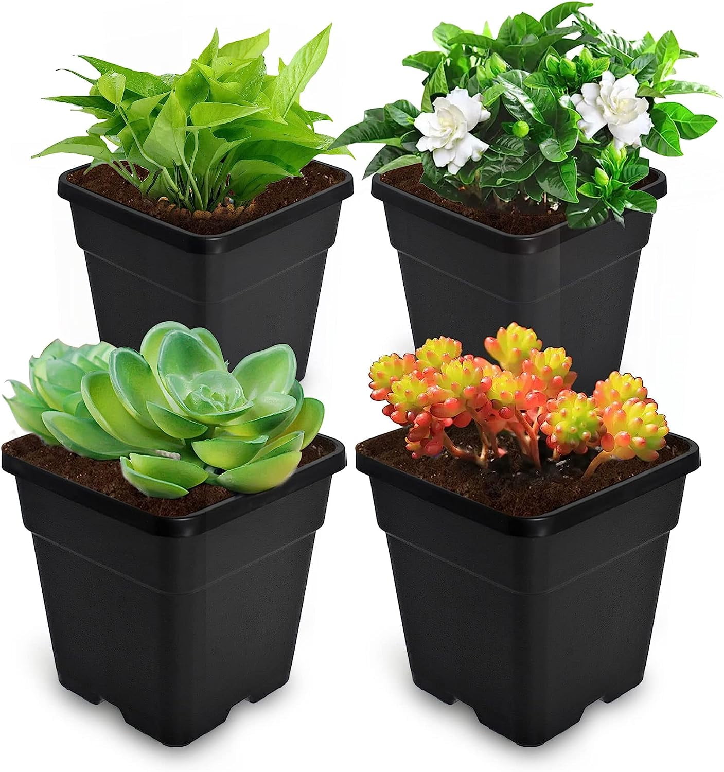 EPOTOOR 10 PCS Re-usable Square Nursery Pot 1/2/3/5/8/10 Gallon Plastic ...