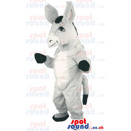 Grey donkey SPOTSOUND Mascot with white underbelly and stunning smile ...