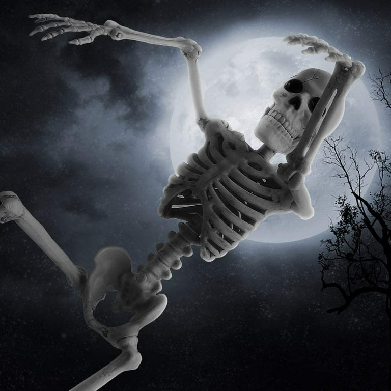 Halloween Funny Skeleton Wallpaper 🔥 [50+] Halloween Skeleton