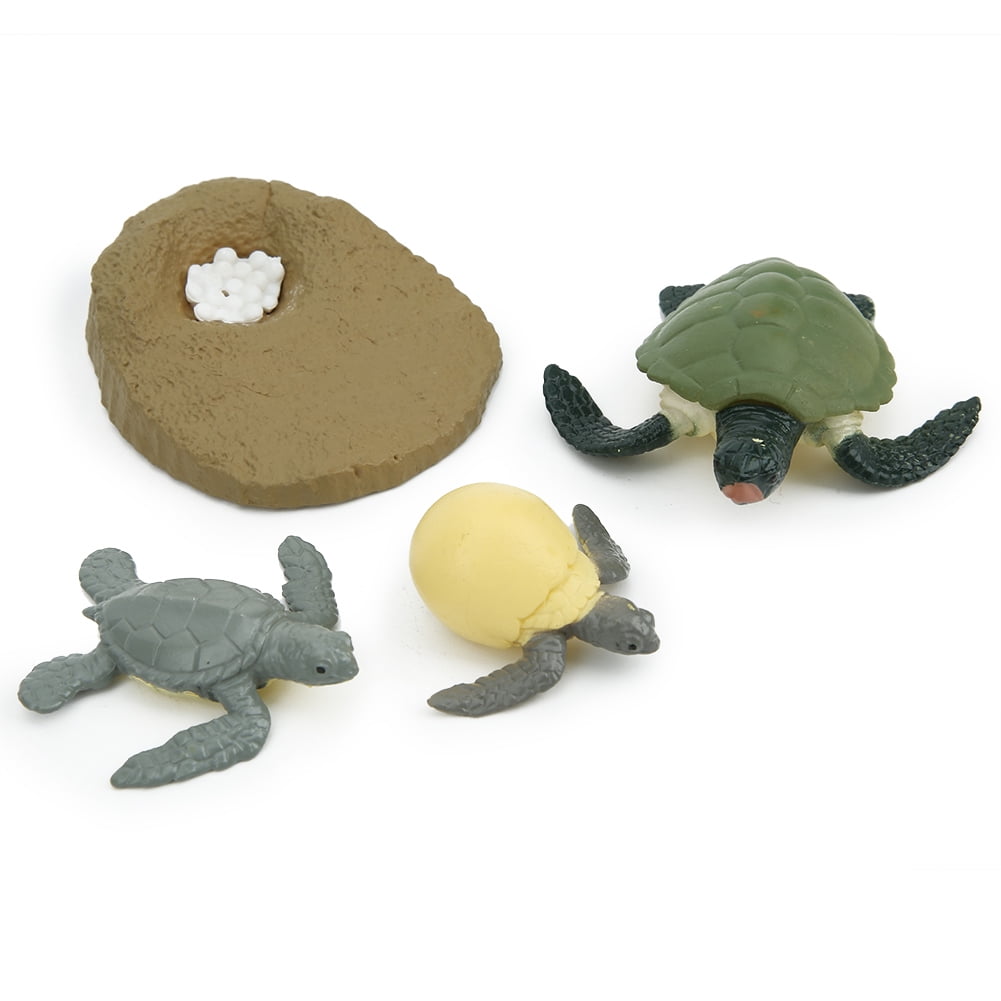 PVC Finely Polished Unfading Animal Life Cycle Model, Children Animal ...