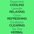Plant Therapy Organic Essential Oil Set - Lavender, Peppermint ...