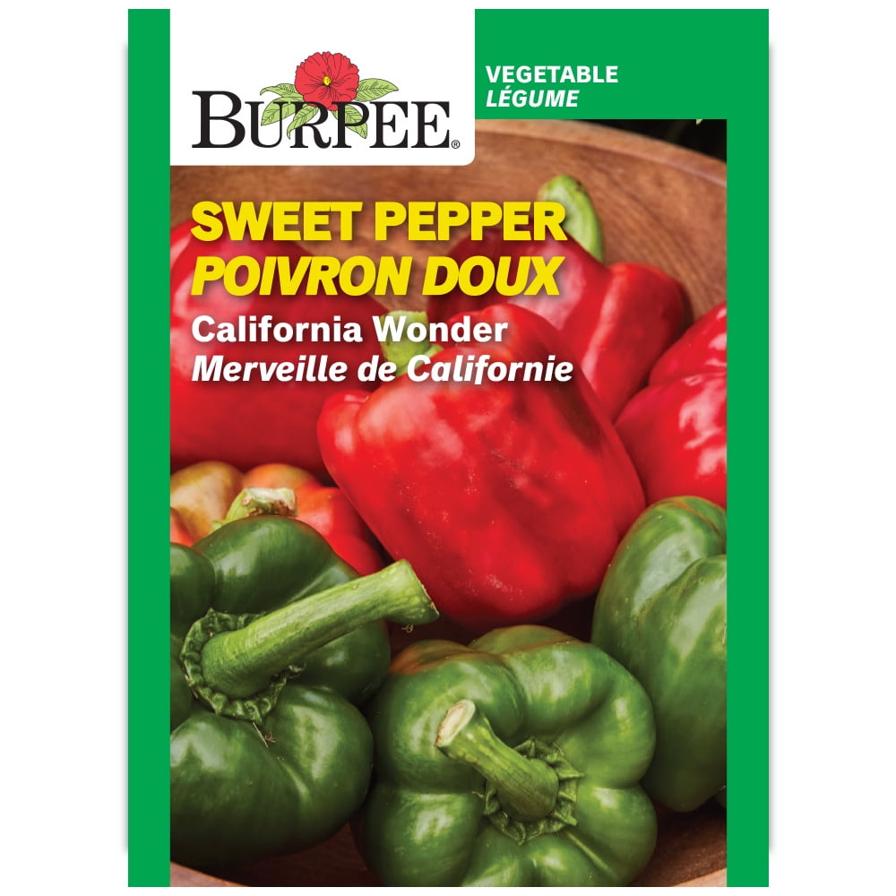 Click here for Burpee Canada Burpee California Wonder Sweet Peppe... prices