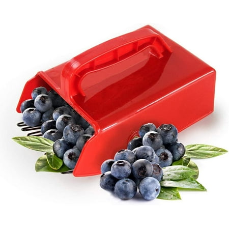 YDJKETBerry Picker Tool Shovel Blueberry Picker Rake Tool | Blueberry ...