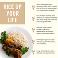 Mountain High Rice | Organic jasmine rice for grocery retail - Walmart ...