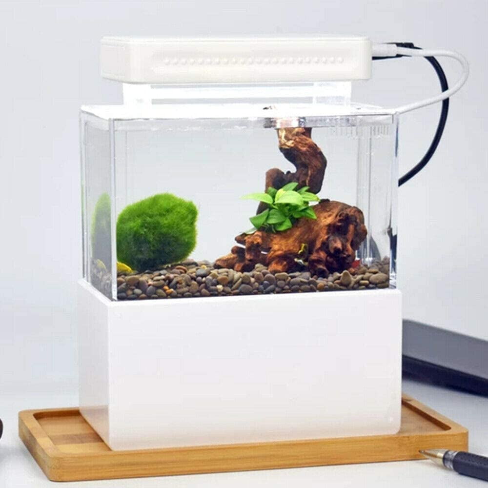 Miumaeov Aquarium Starter Kit Fish Tank 0.2Gal Led Light Fish Bowl Home ...