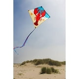 In the Breeze Lobster 30 Inch Diamond Kite - Single Line - Includes ...