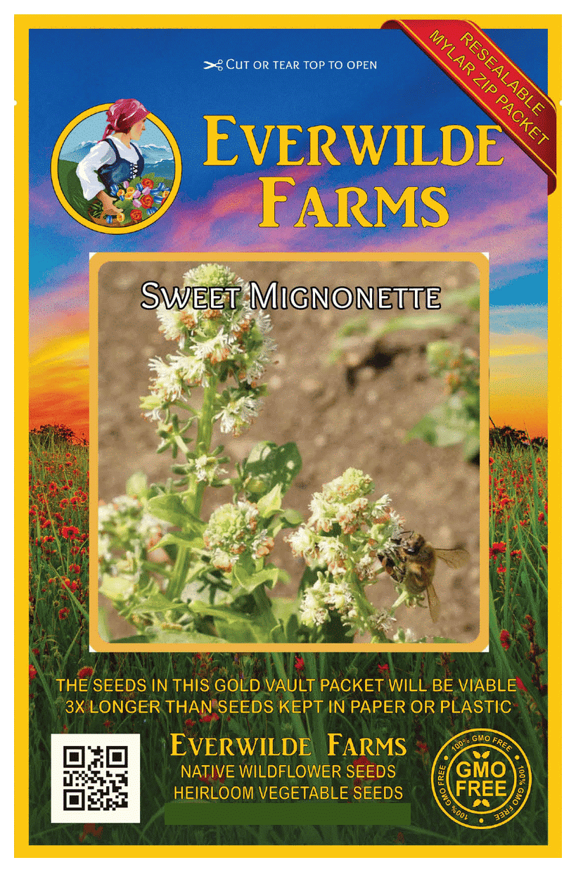 Everwilde Farms - 1 Oz Sweet Mignonette Garden Flower Seeds - Gold ...