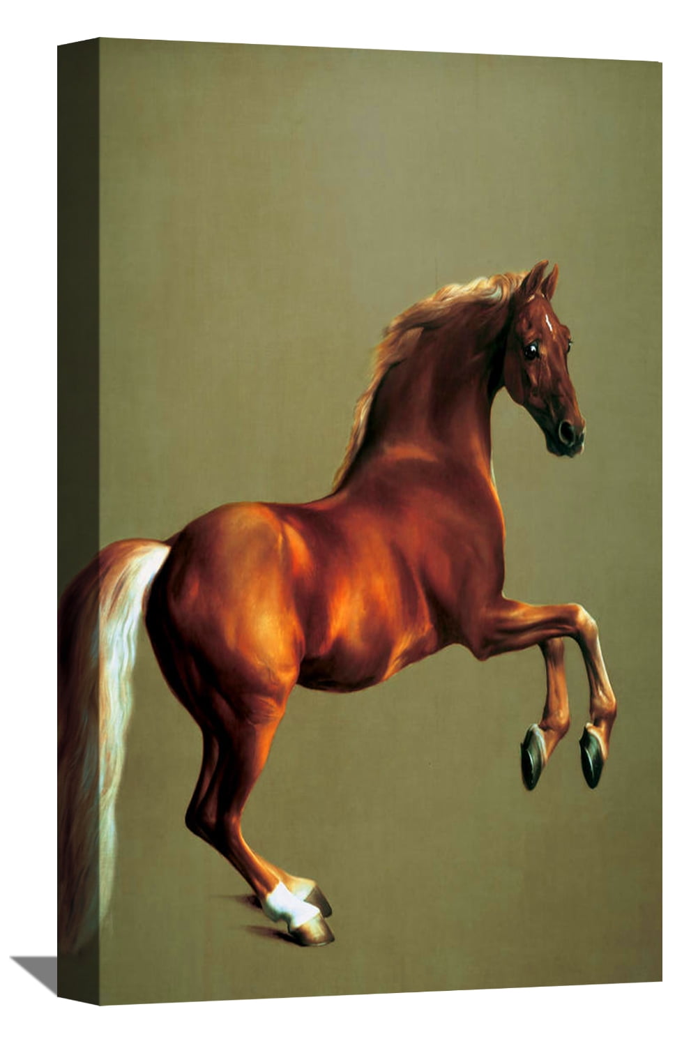 George Stubbs Paintings Sporting Art Print @Whistlejacket Canvas Art ...