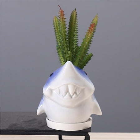 VONKY Shark Ceramic Succulent Pots with Drainage Hole Mini Pots for ...