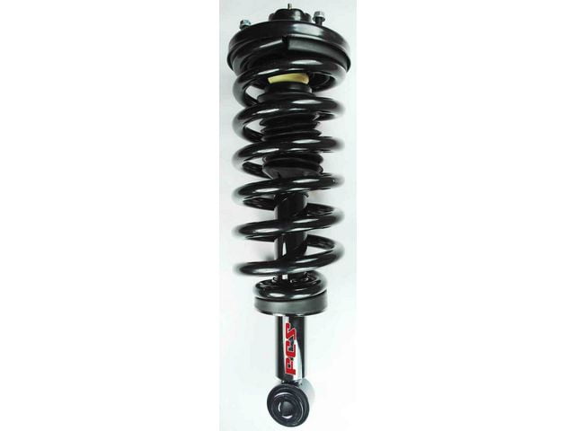 Rear Strut and Coil Spring Assembly - Compatible with 2003 - 2006 ...