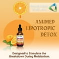 AnuMed Lipotropic Complex Drops - Folic Acid, Vit. B12, B6, Non-GMO ...