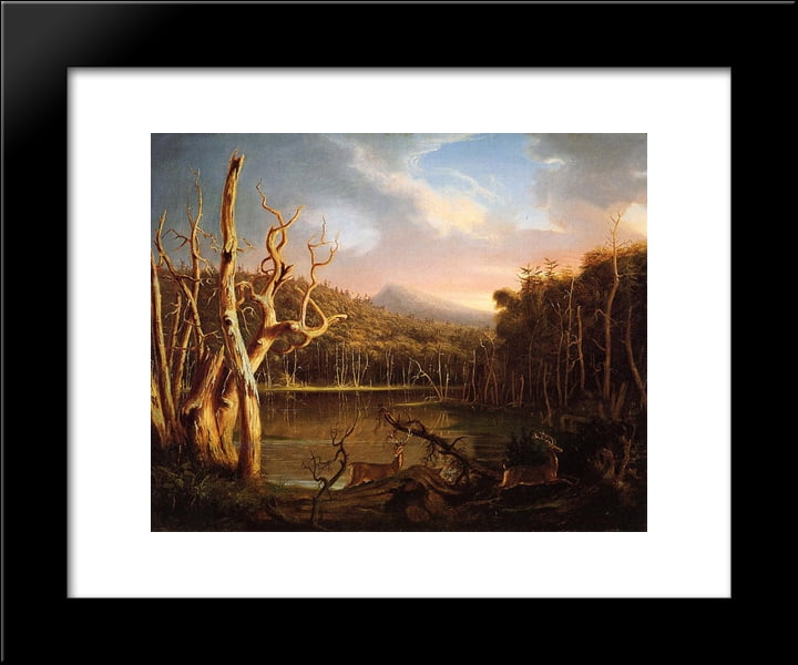 Lake with Dead Trees (Catskill) 20x24 Framed Art Print by Thomas Cole ...
