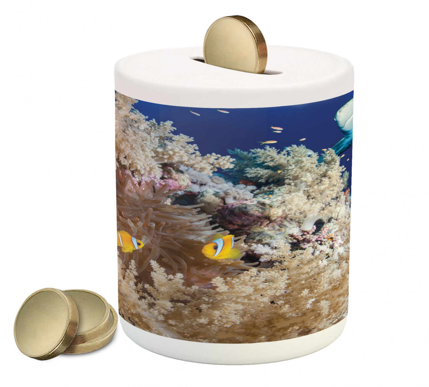 Shark Piggy Bank, Reef with Little Clown Fish and Sharks East Egyptian ...