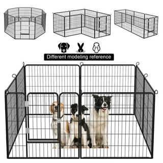 KennelMaster Dog Kennel Gate for Dogs, Durable & Rust-resistant, 22.5"W ...