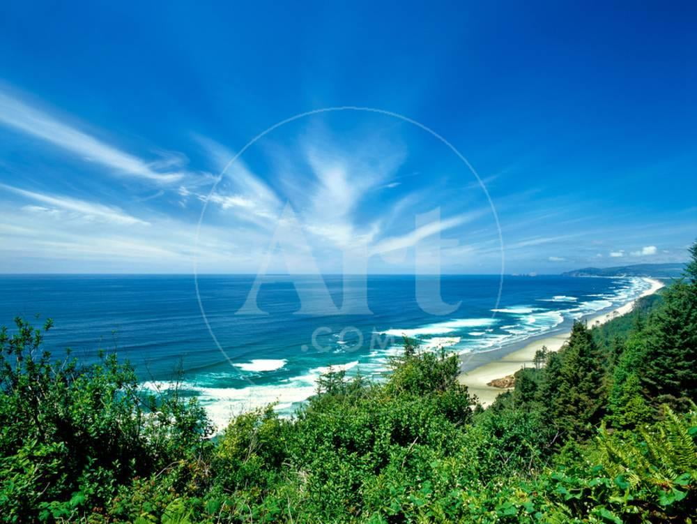 Oregon Coast from Cape Lookout, Tillamook County, Oregon, USA, Scenic ...