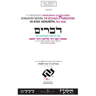 Learning to Read Talmud: What It Looks Like and How It Happens ...