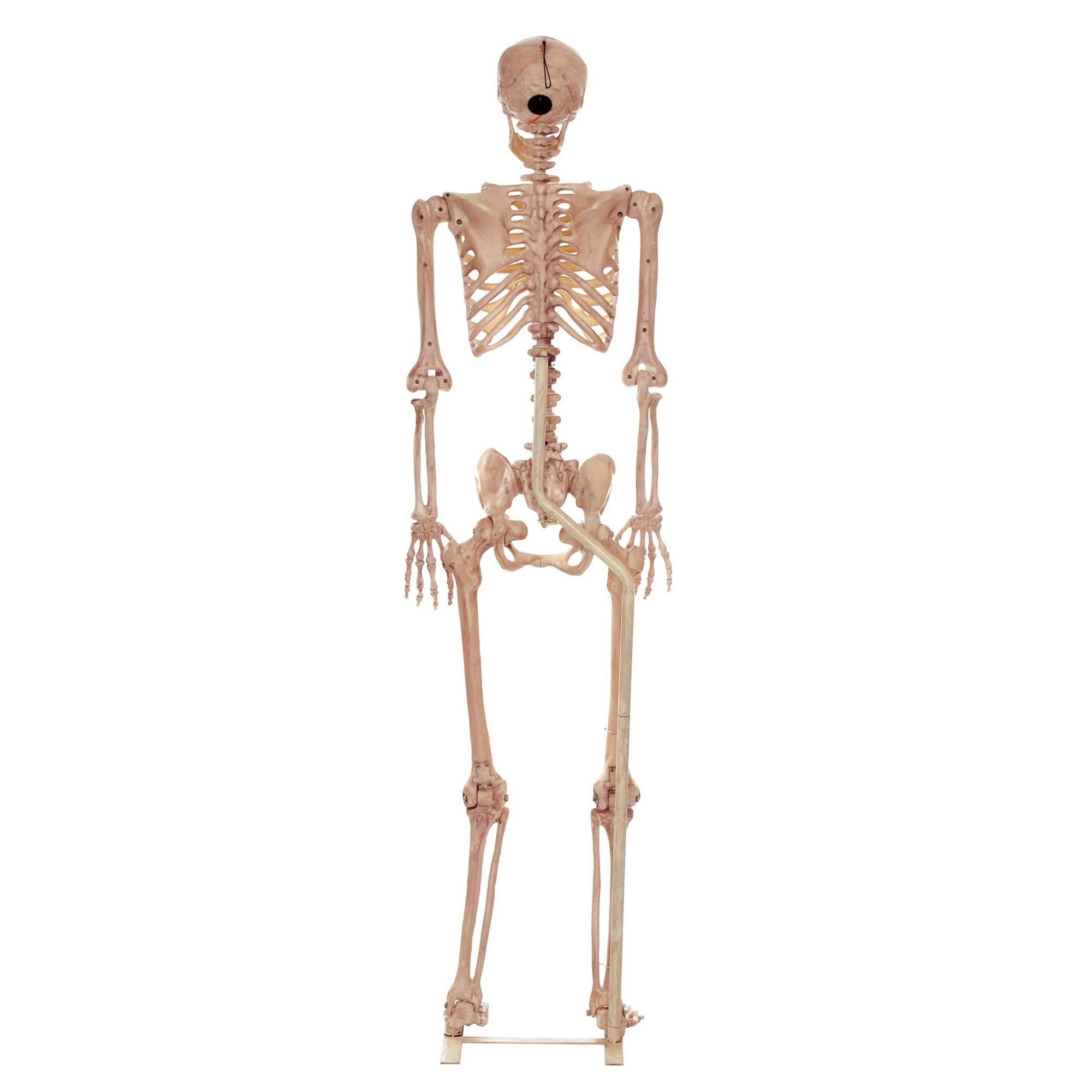 Click here for Seasons Usa Metal Stand For Lifesize Skeletons Sta... prices