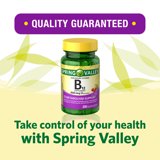 Spring Valley Sublingual Vitamin B12 Supplement Microlozenges for ...