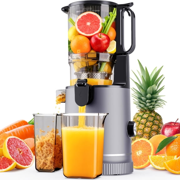 Cold Press Juicer, 6.5" Wide Feed Chute Juice Extractor Machine with ...