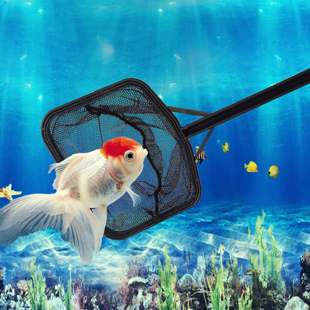 Agfabric ABS Stable Fish Nets - 2Pack - Square Shape Anti-Corrosion ...