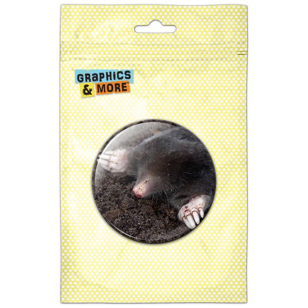 Mole Pinback Button Pin Badge - Walmart.com