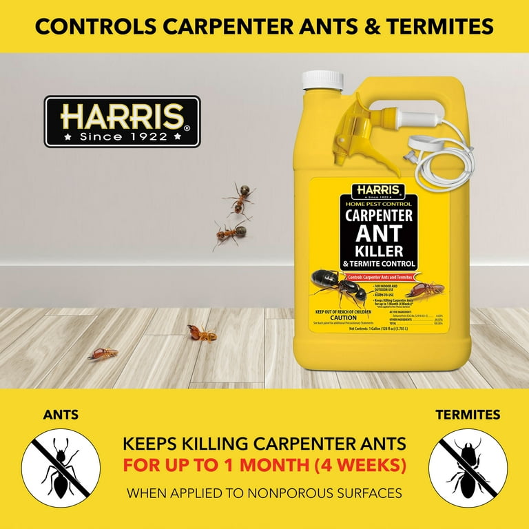 Carpenter Ant Killer