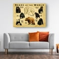 Bears Wall Art Knowledge Poster Educational Wall Art Vintage Prints ...