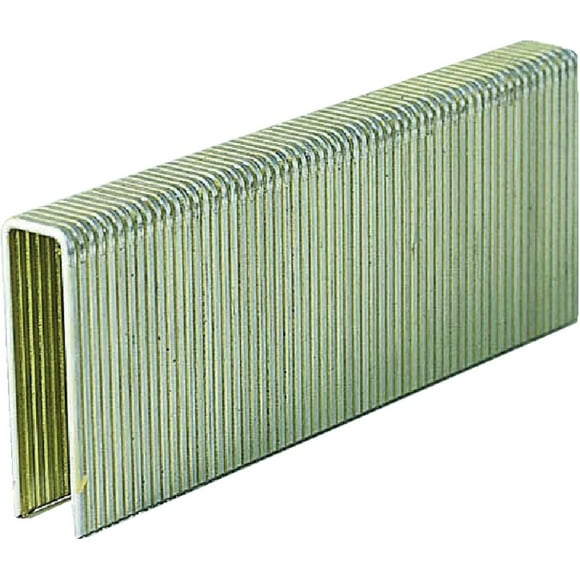 Grip-Rite Desk Staples - Walmart.com