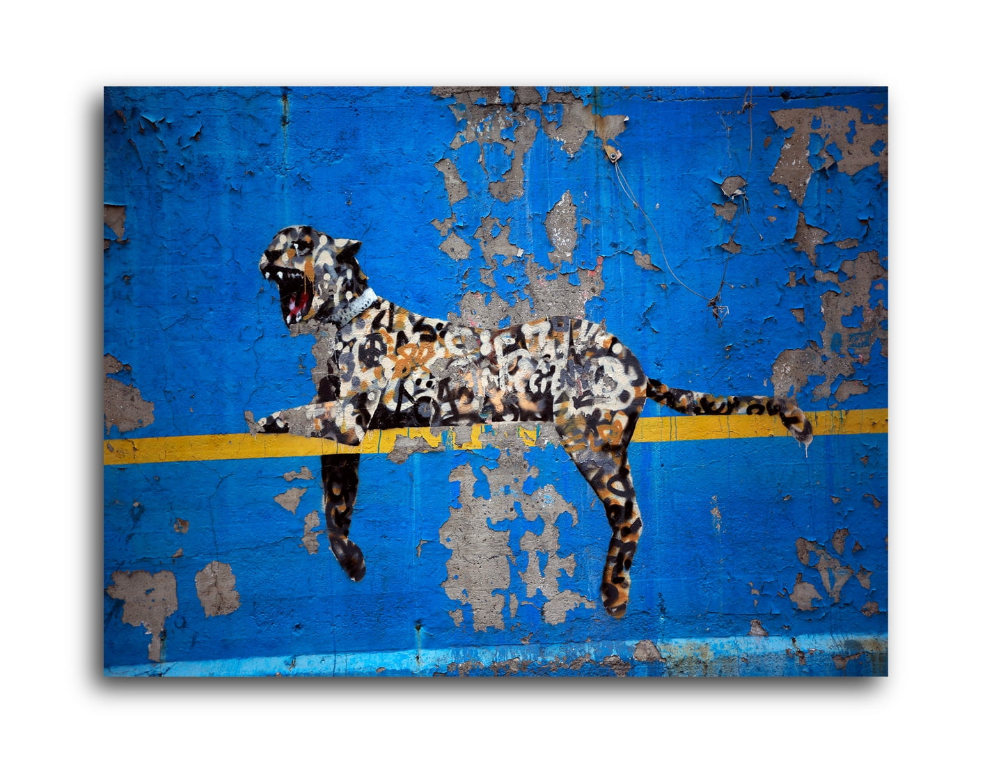 Banksy Yankee Tiger Brushed Aluminum Metal Print (14" x 11") - Walmart.com