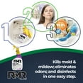RMR Brands RMR-141 Disinfectant Spray Cleaner, Kills Mold, Bacteria ...