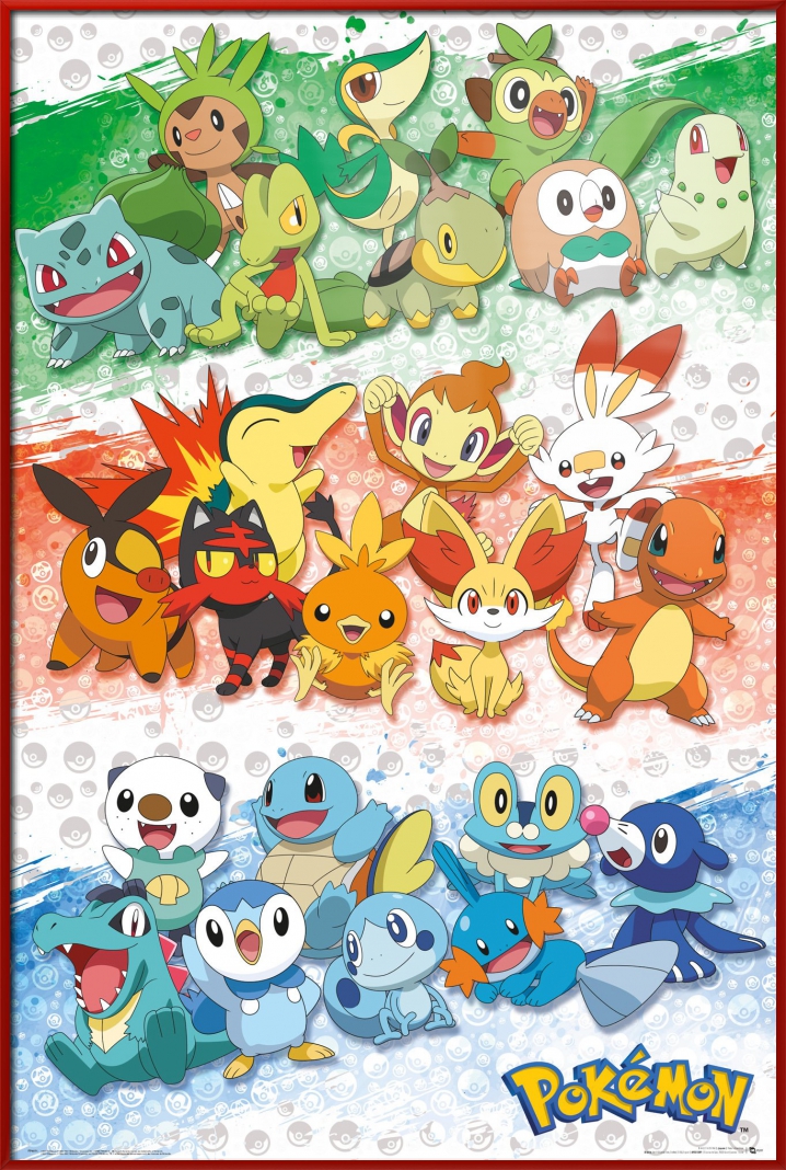 Pokemon - Framed TV Show / Gaming Poster (First Partners) (Size: 24" x ...