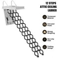 Mad Hornets 12-Step Compact Opening Black Loft Wall Folding Ladder ...