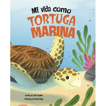 Kai The Missionary Sea Turtle Kai la tortuga marina misionera ...
