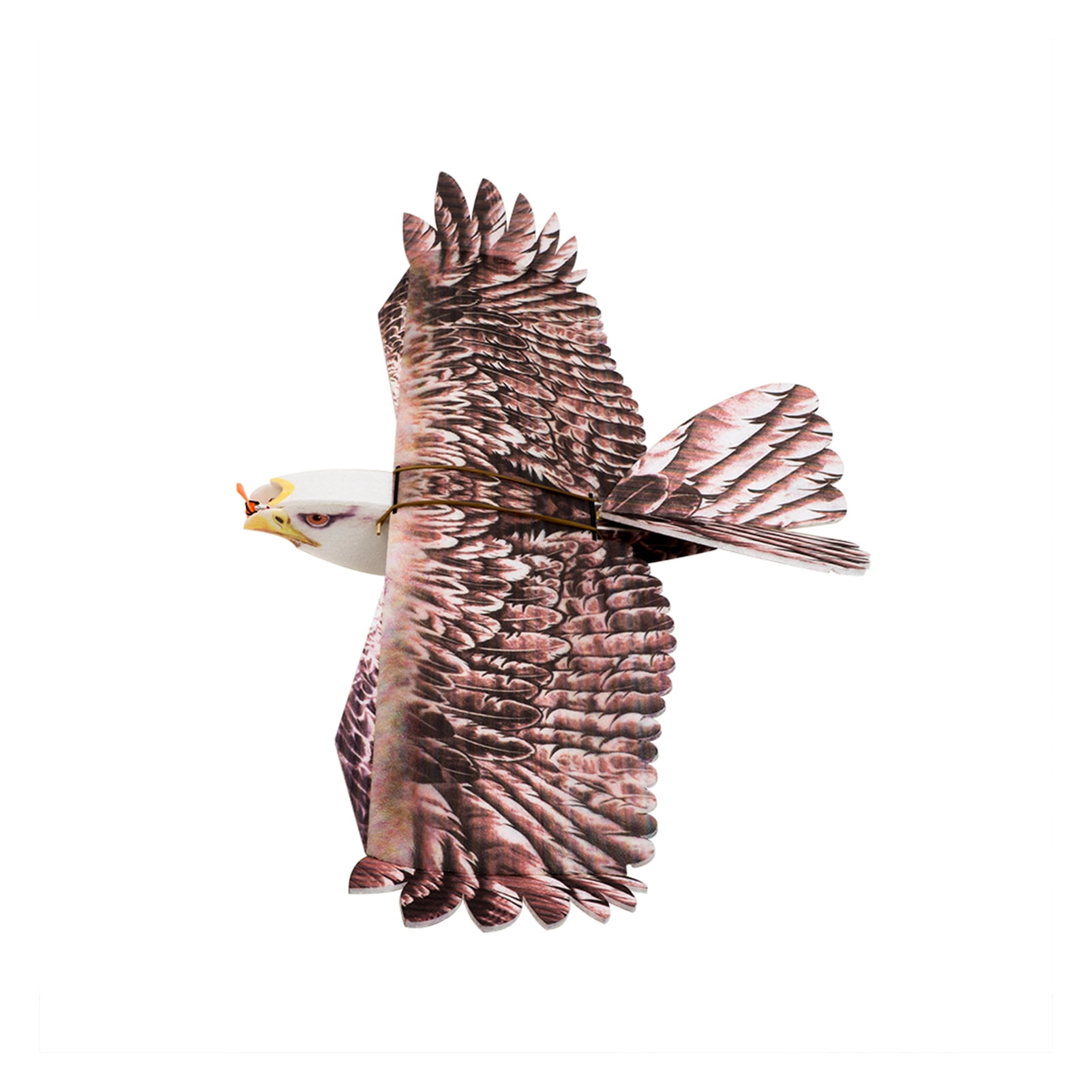 EPP Dancing Wings Hobby E1904 EPP RC Airplane Eagle Plane 1430 mm ...