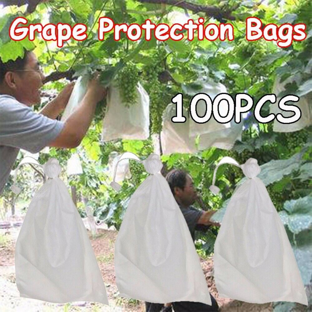 Buy Fancy Fruit Protection Bags, 100 Pack Non-woven Fabric Barrier Bag ...