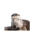 CafePress - Significant Otter Dark T Shirt - Men's Classic Cotton T ...