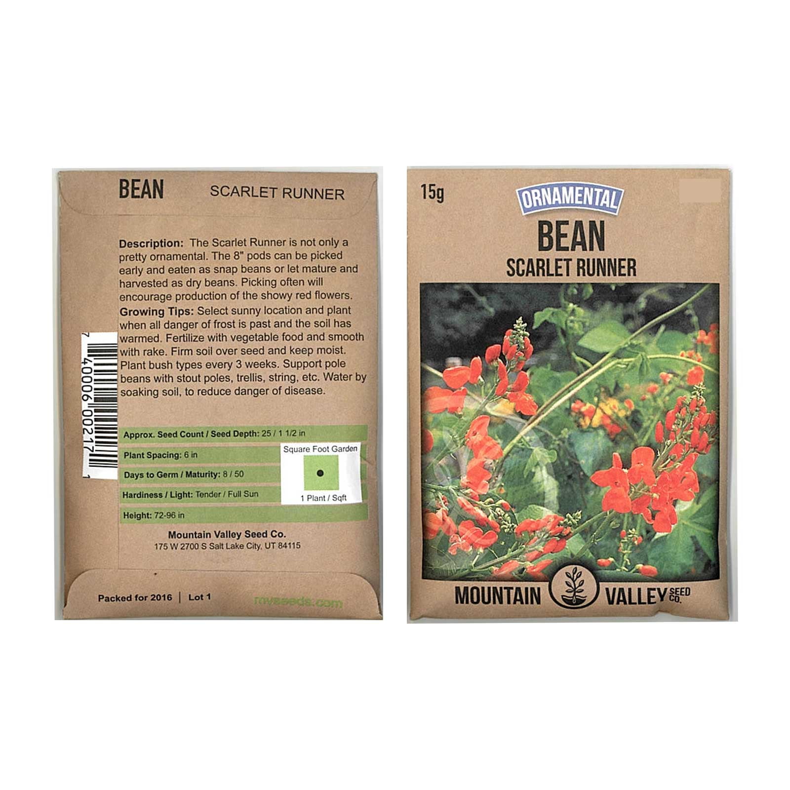 Scarlet Runner Pole Bean Seeds - 15 Gram Packet - Non-GMO, Heirloom ...