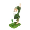 Zen Gnome and Zen Frog - Lord of the Dance Pose – Tranquility and ...