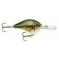 Rapala DT Custom Ink 20 - Walmart.com