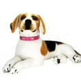 Puppy and Dog Lux Collars BONE COLLAR - Walmart.com